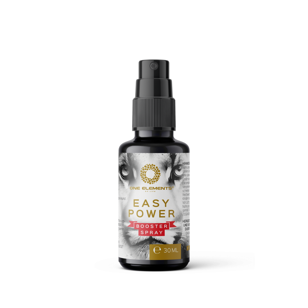 EASY POWER - BOOSTER SPRAY | OneElements – OneElements